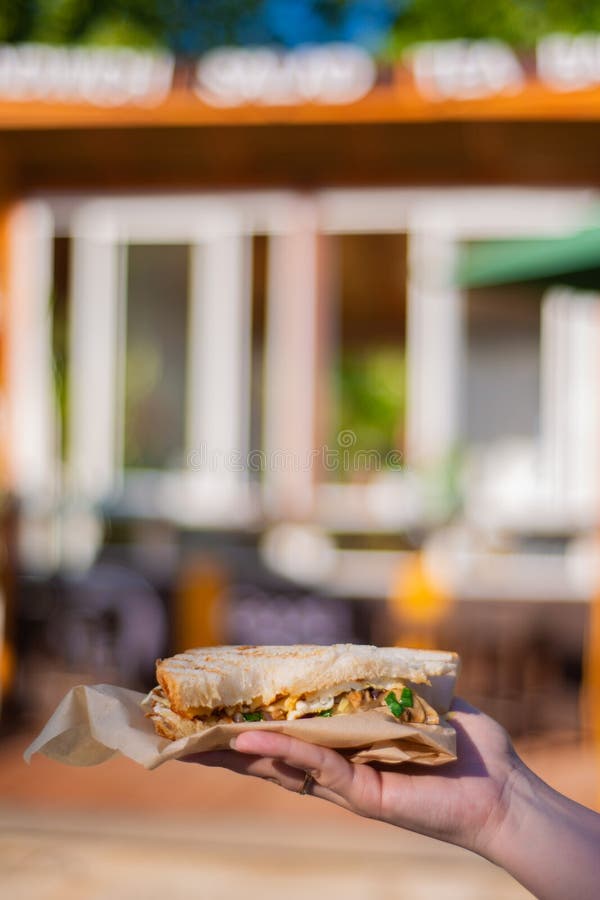 Fast Food: Sandwich in Hand on a Napkin Stock Photo - Image of fried ...