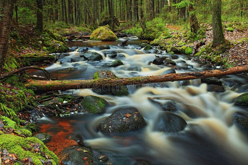 Fast forest river stock photo. Image of fall, greenery - 159617362