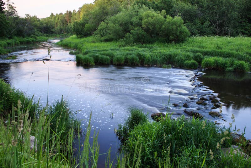 Fast Forest River. Fog. Evening Landscape Stock Photo - Image of ...