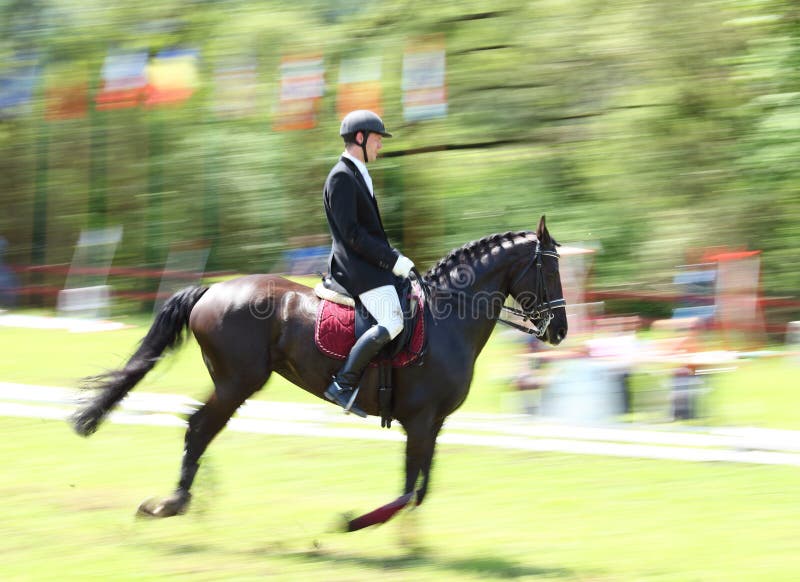 Fast horse riding editorial image. Image of horseback - 27591445