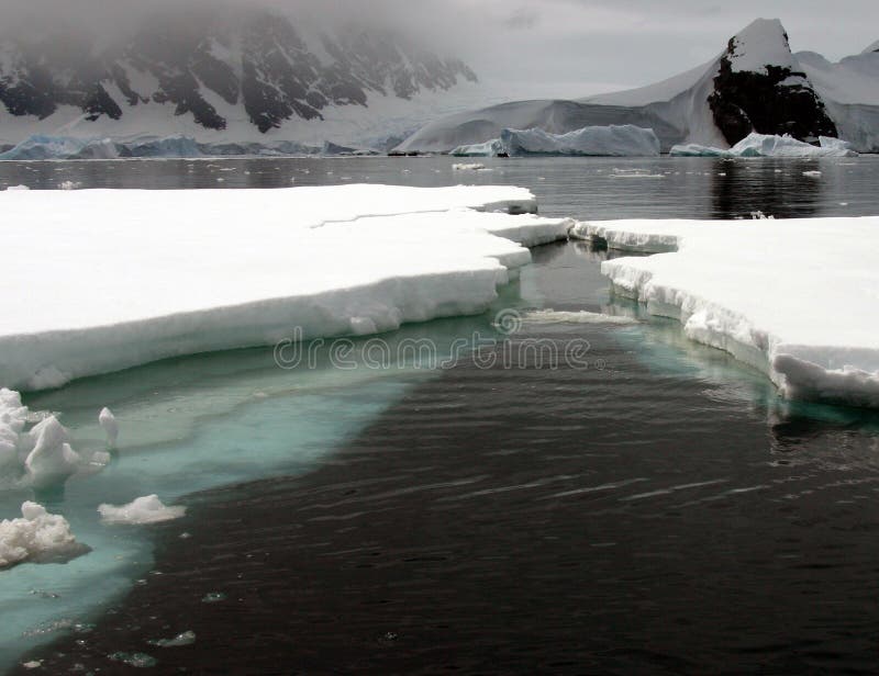 Fast ice flow stock photo. Image of ocean, penguins, travel - 2556002