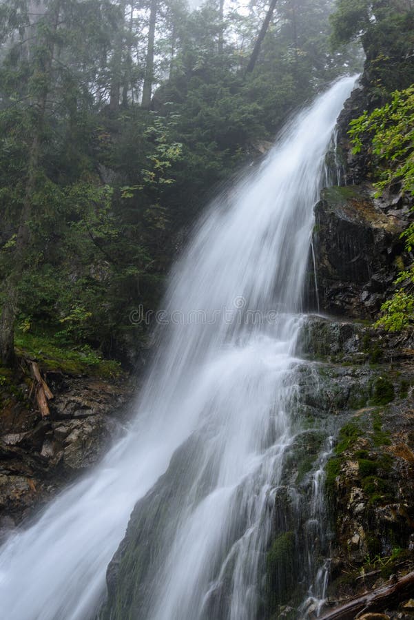 Fast Mountain Rocky River in Forest with Waterfall Stock Photo - Image ...