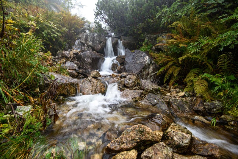 Fast Mountain Rocky River in Forest with Waterfall Stock Image - Image ...