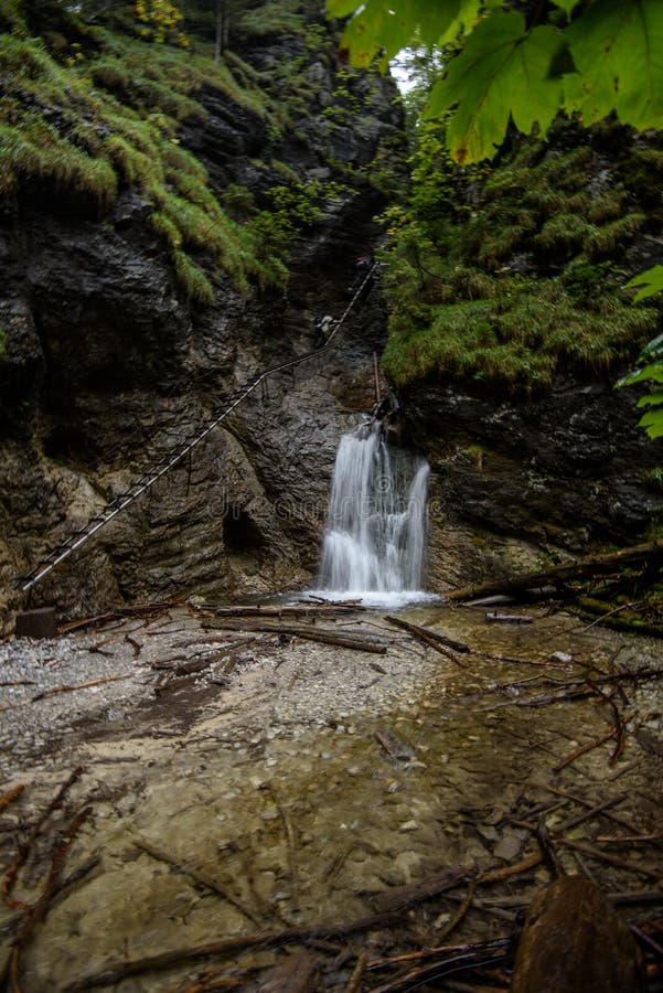 Fast Mountain Rocky River in Forest with Waterfall Stock Image - Image ...