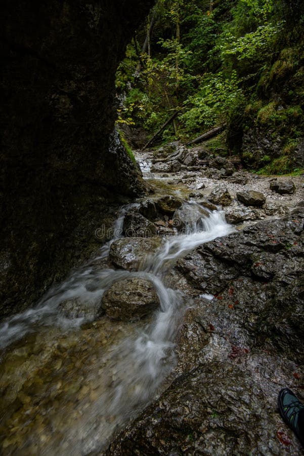 Fast Mountain Rocky River in Forest with Waterfall Stock Photo - Image ...