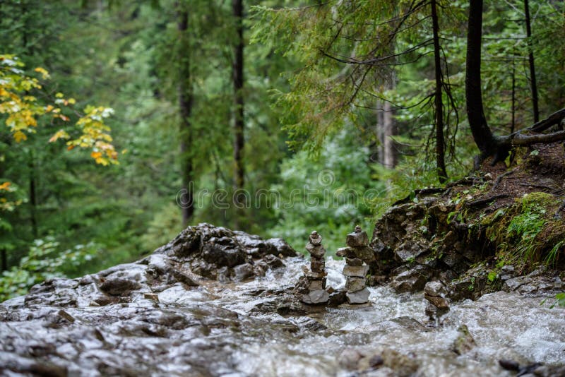 Fast Mountain Rocky River in Forest with Waterfall Stock Photo - Image ...