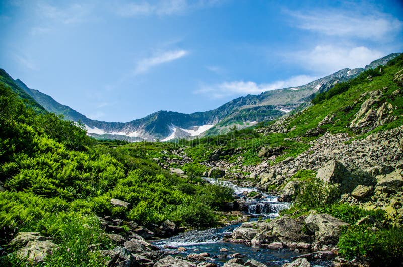 Fast Mountain Waterfall with Clear Spring Water. Beautiful View Stock ...