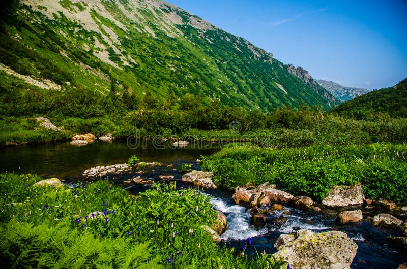 Fast Mountain Waterfall with Clear Spring Water. Beautiful View Stock ...