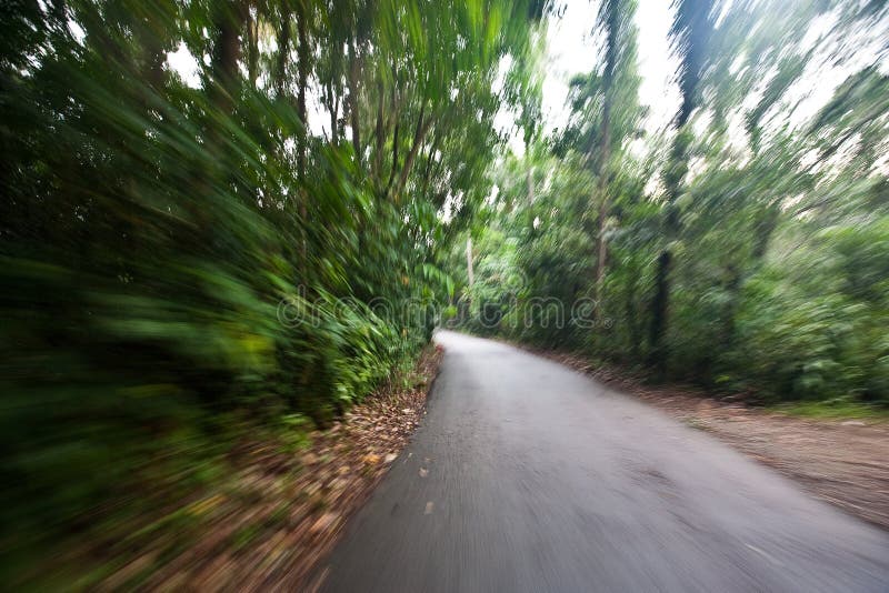 Fast Movement in a Forest Road Stock Image - Image of care, adventure ...