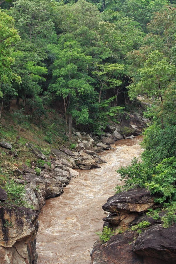 The Fast Movement of Water in the Forest. Stock Photo - Image of fast ...