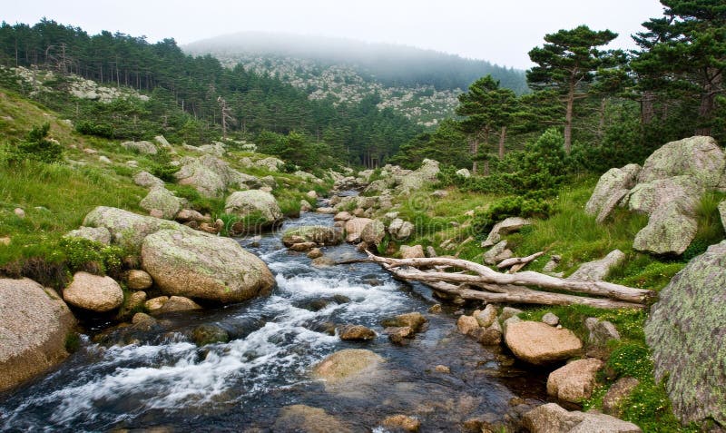 A Fast-moving Current Sweeps Over a Logjam in a River, Surrounded by ...