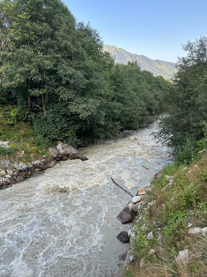Fast-moving Muddy River Flowing through a Forested Area, with Visible ...