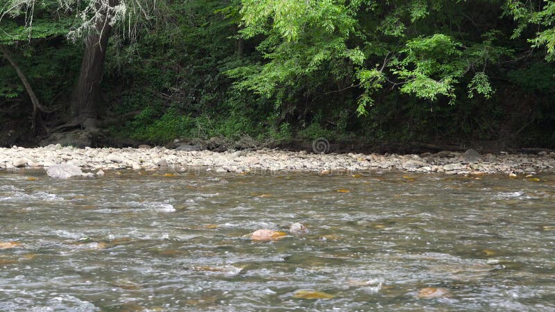 Fast Moving Stream stock photo. Image of motion, nature - 7680768