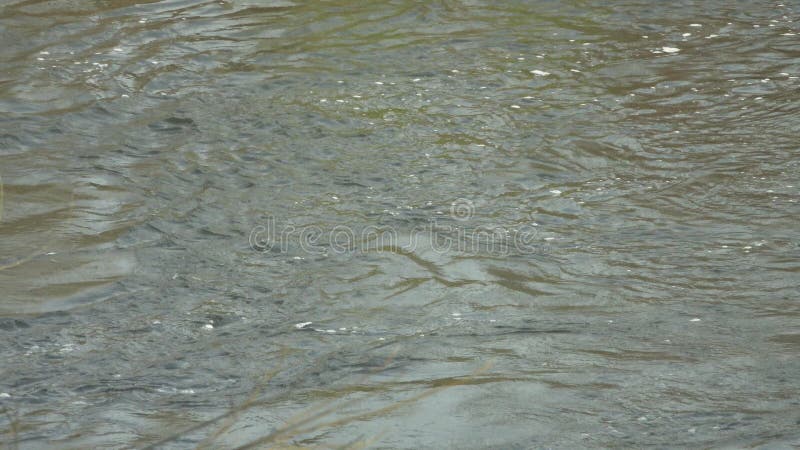 Fast Moving Water and Bubbles in a River Stock Footage - Video of ...