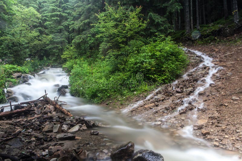 Fast and Rapid Mountain Stream Current after Rain Stock Photo - Image ...