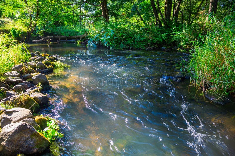 243,243 River Closeup Stock Photos - Free & Royalty-Free Stock Photos ... 243,243 River Closeup Stock Photos - Free & Royalty-Free Stock Photos ...
