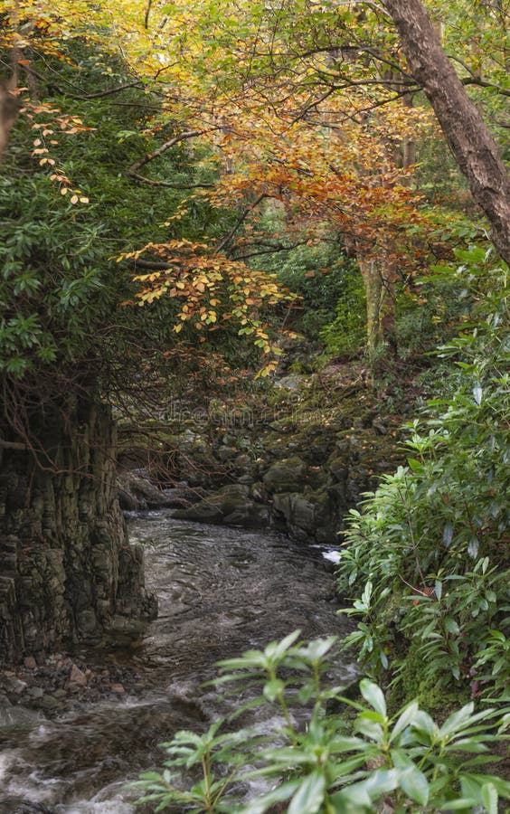 Fast River Flow in a Rocky Bed in a Natural Park. Autumn Landscape ...