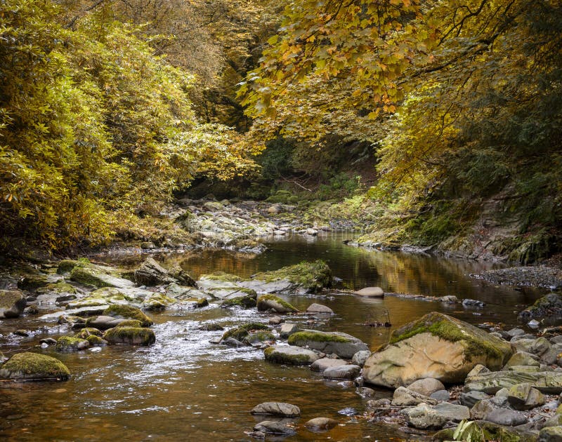 Fast River Flow in a Rocky Bed in a Natural Park. Autumn Landscape ...