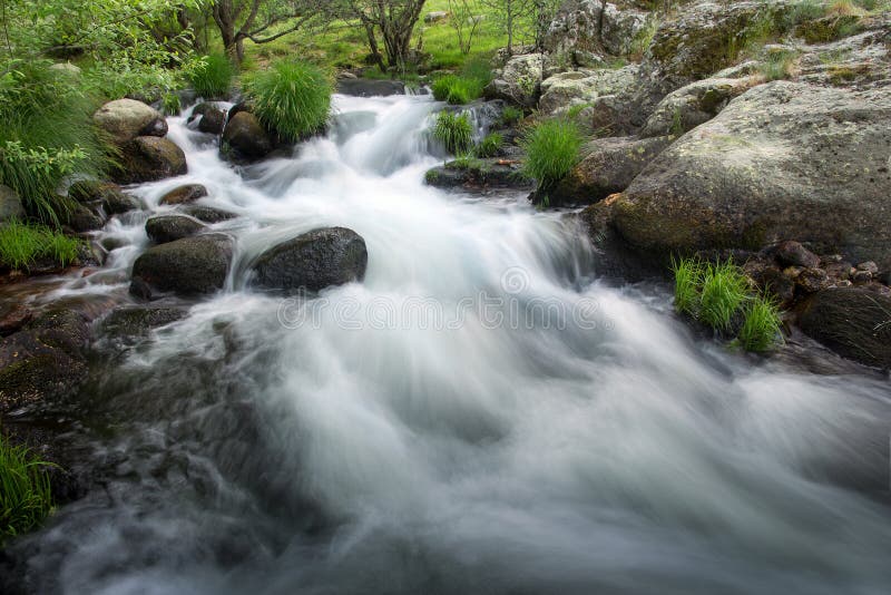 Fast River Flowing through Rocks in Summer Forest. Stock Image - Image ...