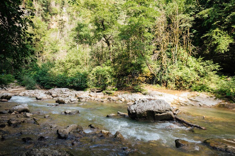Fast River Flows Forest Green Trees Hiking Journey Stock Photos - Free ...