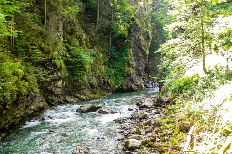 A Fast River Flows through Rocks Where Trees Grow Stock Photo - Image ...