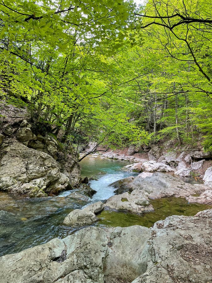 Fast River Flows among the Stones in the Forest Hike Journey Stock ...