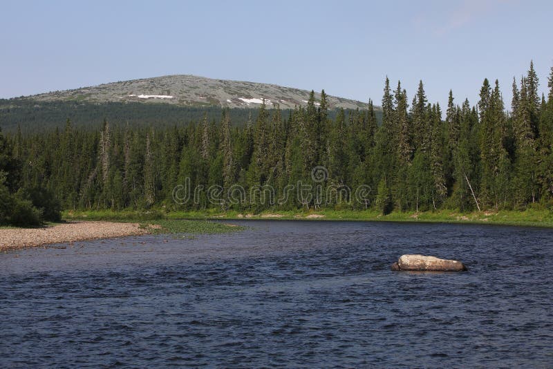 Fast River with Forest and Mountains on the Horizon in the Morning ...