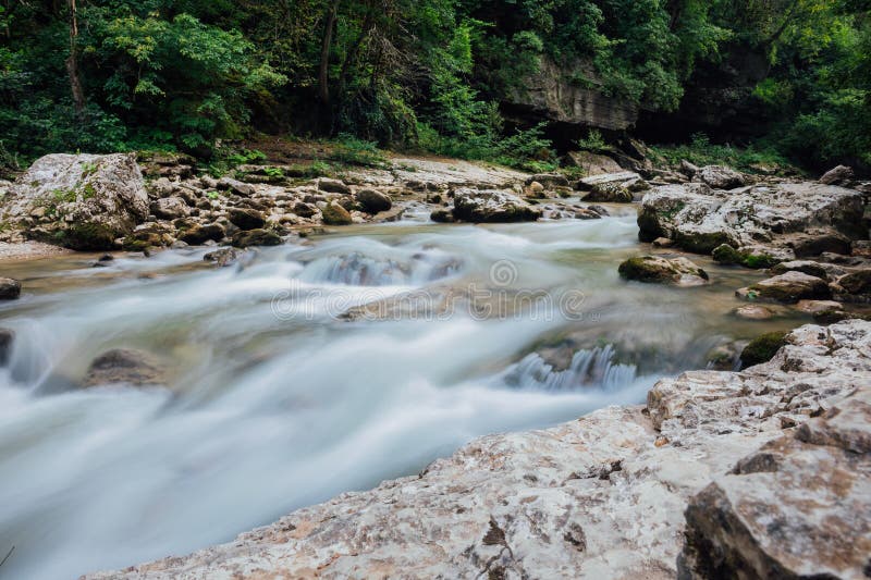 Fast River in the Forest among Stones and Green Trees Stock Photo ...