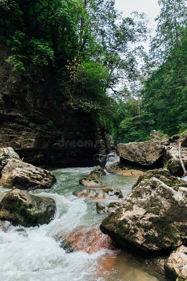 Fast River in the Forest among Stones and Green Trees Stock Image ...