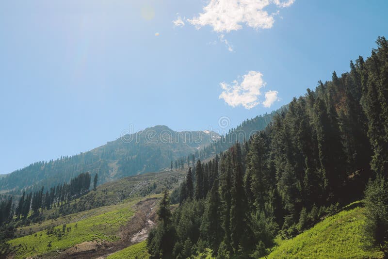 Fast River and Green Mountain Forest Under the Blue Sky in Gilgit ...