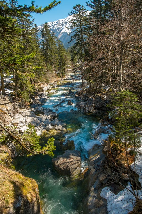 Fast river stock image. Image of horizontal, foliage - 33818421