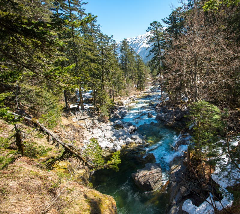 Fast river stock image. Image of lush, nature, environment - 33821295