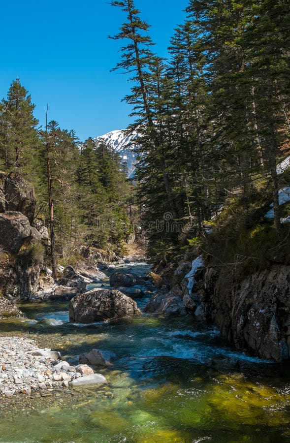 Fast river stock photo. Image of bush, outdoor, lush - 34005504