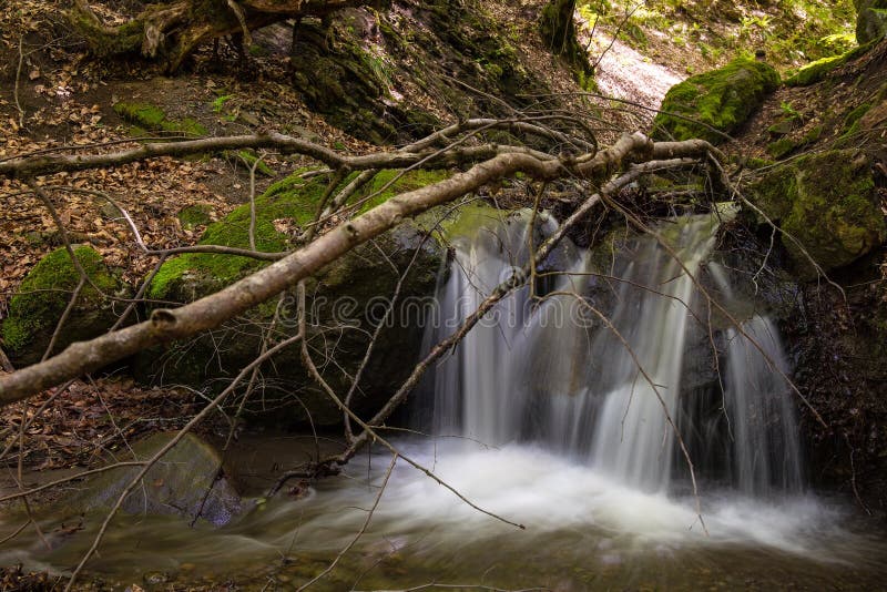 Fast River Running in the Forest Stock Image - Image of rock, river ...