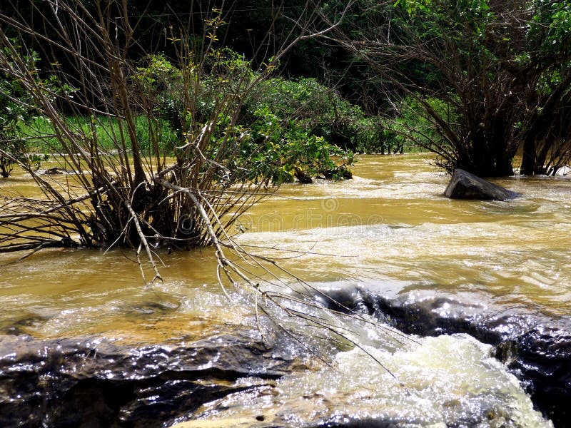 Fast river stream. stock photo. Image of beautiful, flash - 82487550