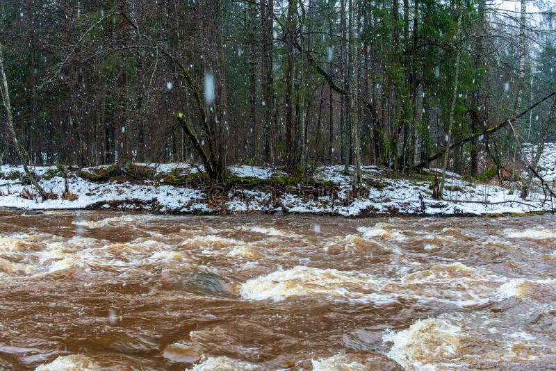 Fast River Stream in White Winter Forest Stock Image - Image of river ...