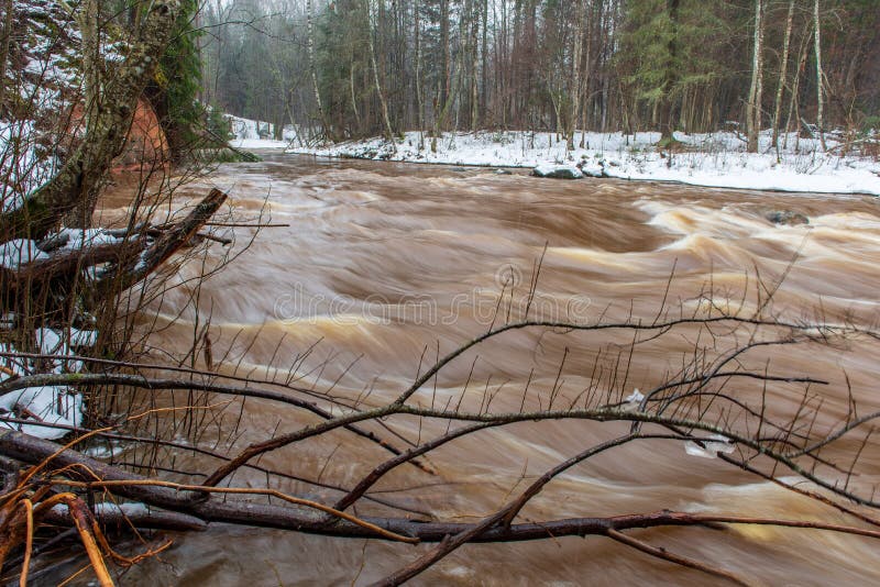 Fast River Stream in White Winter Forest Stock Photo - Image of nature ...