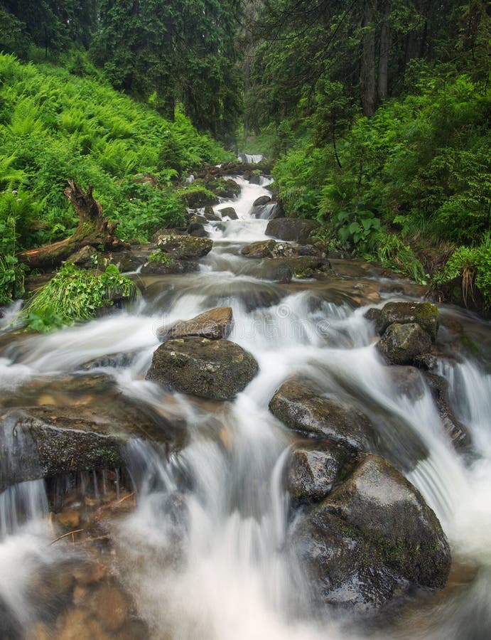 Fast River in the Summer Forest Stock Image - Image of cascade, park ...