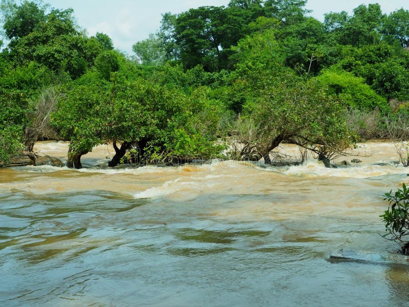 Fast river water. stock photo. Image of forest, fast - 82478016