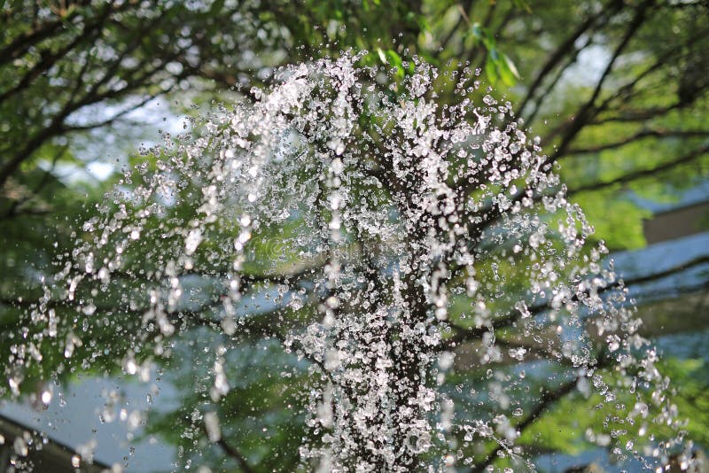 Shot fountain stock photo. Image of travel, shot, palm - 110247456