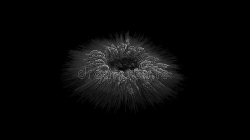 Fast Smoke Shockwave with Many Trails of Tiny Debris and Quick ...