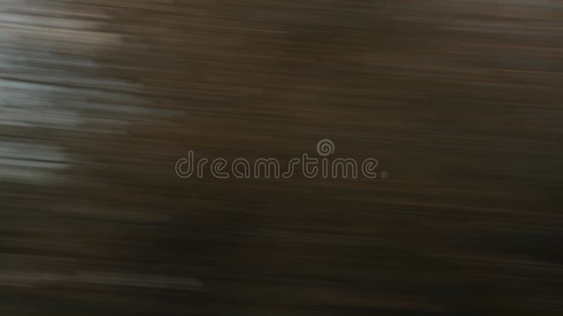 Fast Spinning Shot on Blurry Trees in the Park with Sunset Sky in the ...