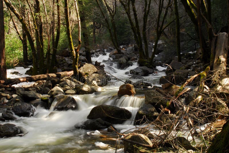 Fast Stream stock photo. Image of fluxion, reserve, flowing - 636724