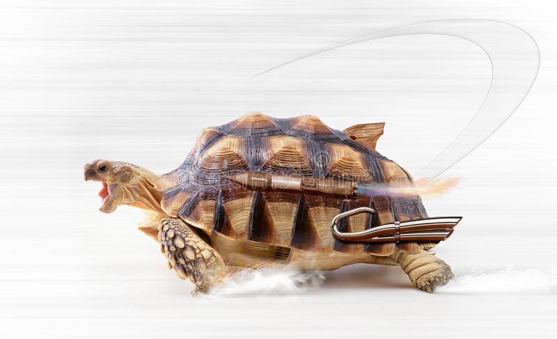 Fast Turtle Stock Illustrations – 351 Fast Turtle Stock Illustrations ...