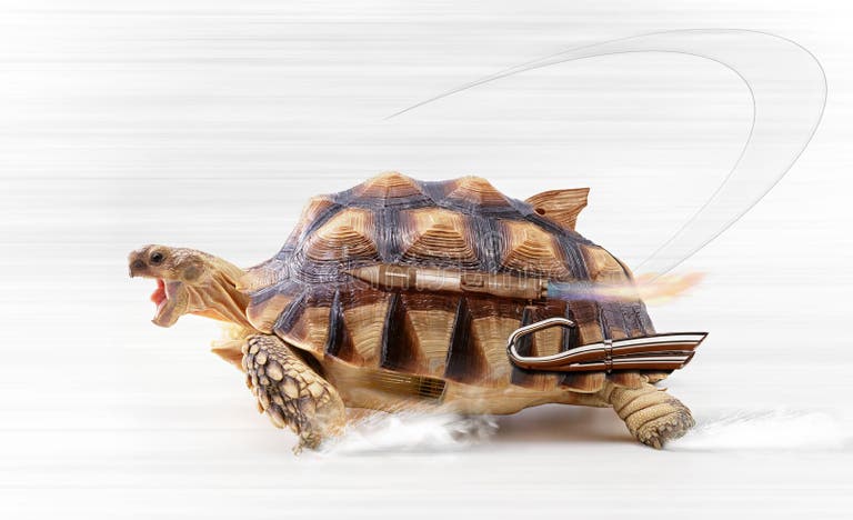 Fast turtle stock illustration. Illustration of fire, turtle - 7170875