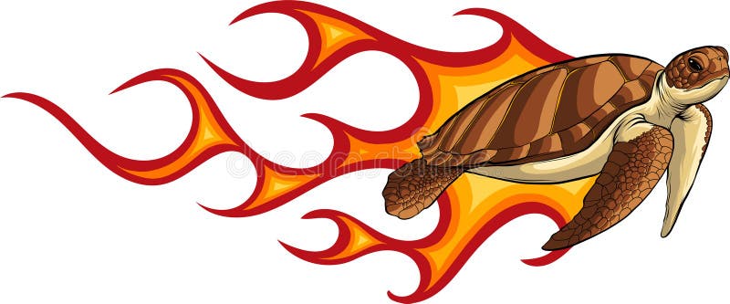 Fast Turtles in Flame Set. Funny Racing Tortoise Cartoon Vector ...