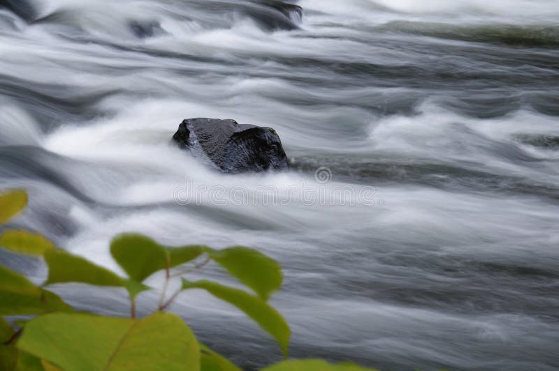 Fast Water stock photo. Image of river, environment, flowing - 16638338