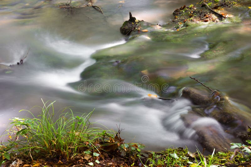Fast Water Stream in Forest Stock Image - Image of daylight, stream ...
