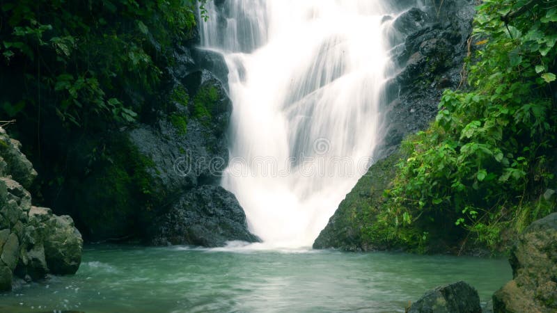 Fast Waterfall Flowing Splash in the Forest Stock Footage - Video of ...