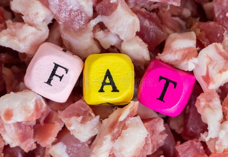 Fat Alphabet Cubes on Bacon Concept Stock Photo - Image of letters ...